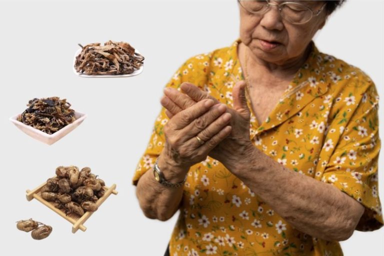 Efficacy and Safety of Using Venomous Animal-Derived Herbs in Treating ...